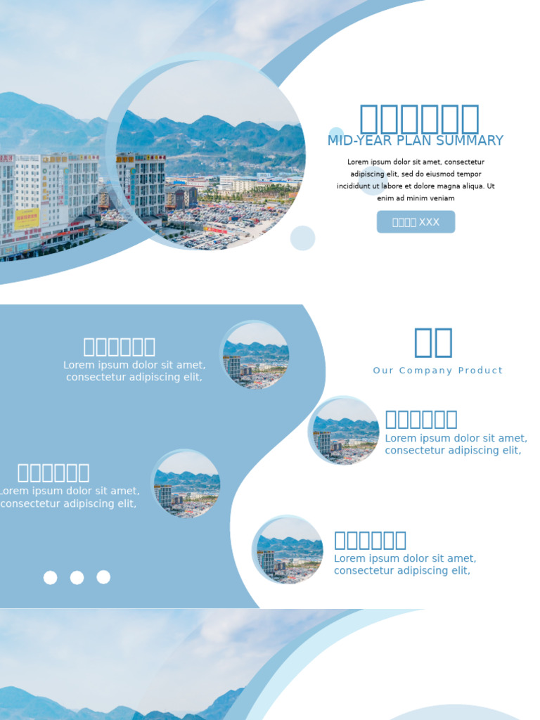 Mid-Year Plan Summary | PDF