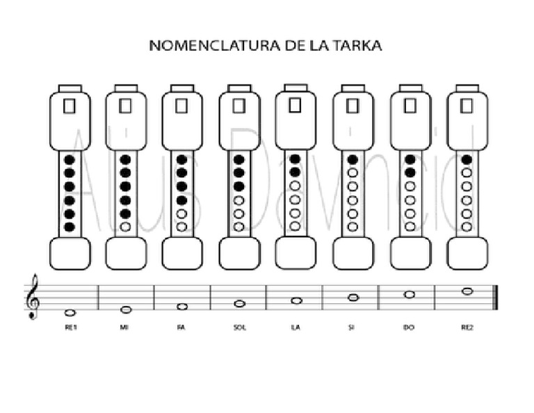 TARKA NOMENCLATURA | PDF