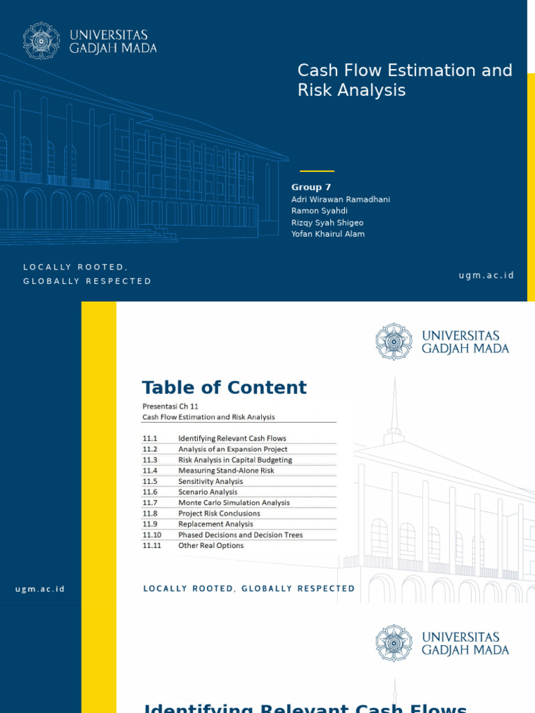 Group 7 FM - Cash Flow Estimation and Risk Analysis | PDF