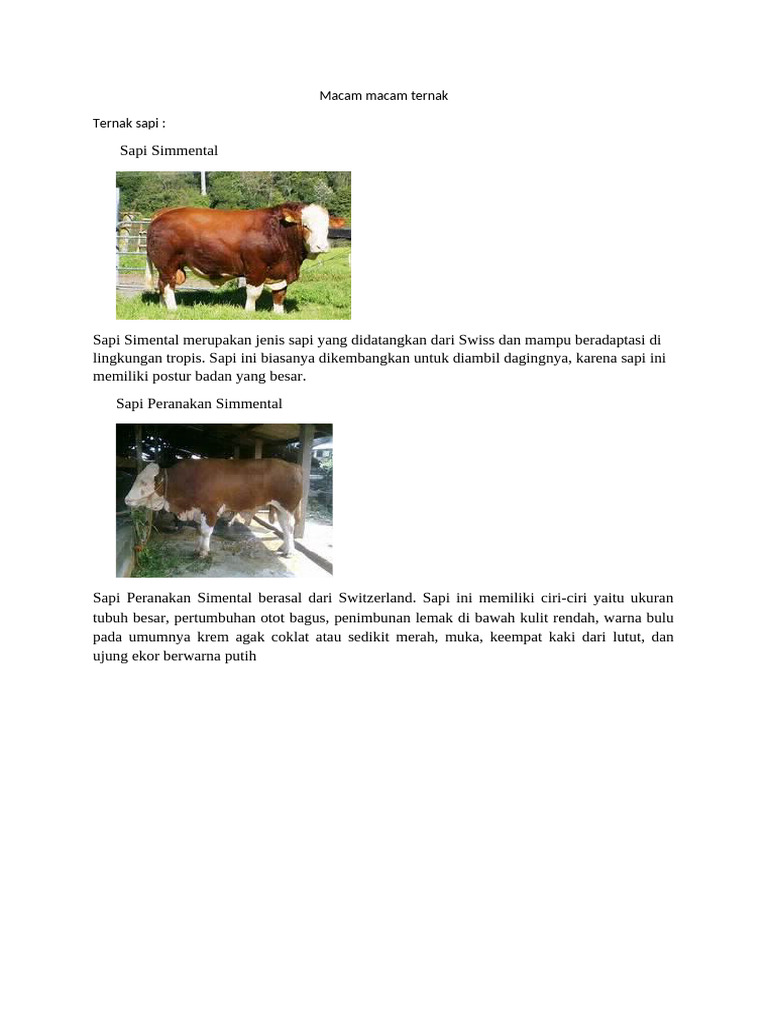 Macam macam ternak | PDF