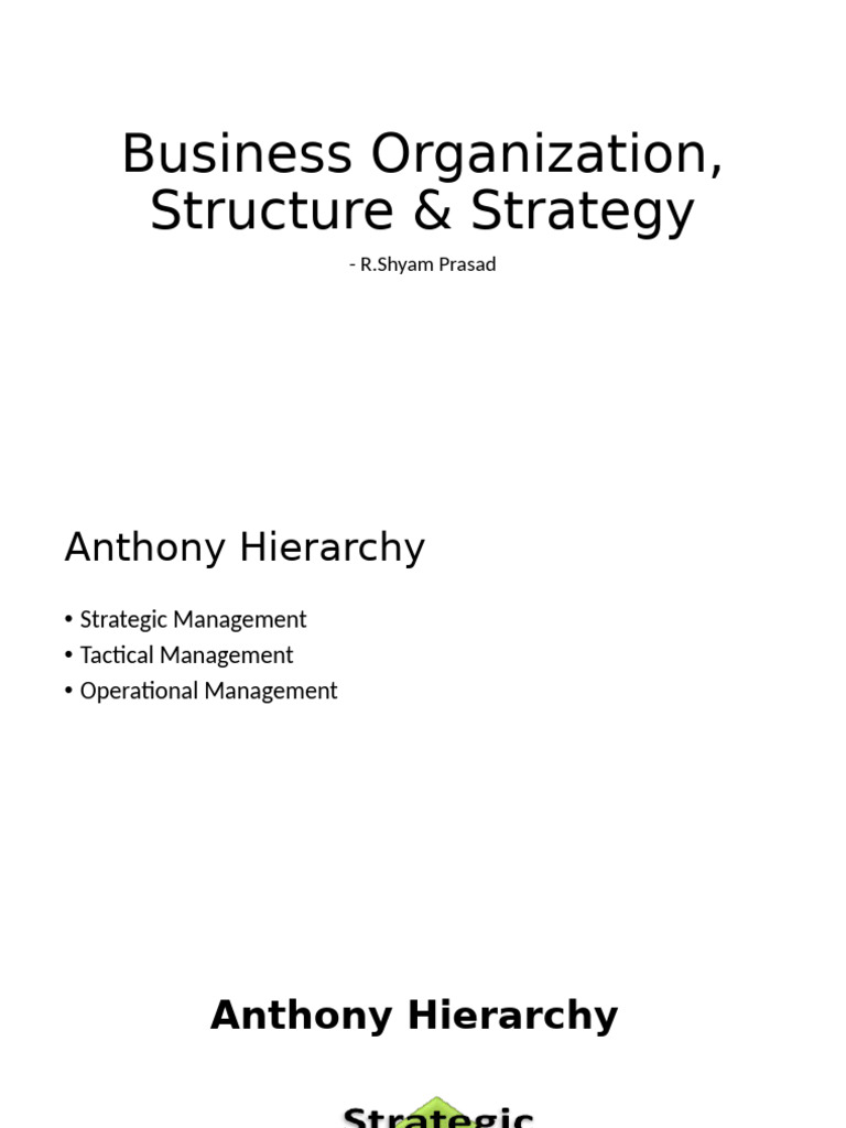 Business Organization, Structure & Strategy | PDF