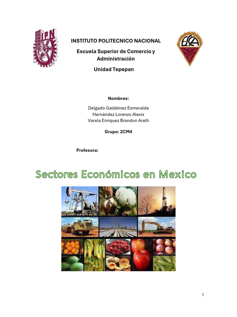 Sectores Economicos Salud | PDF