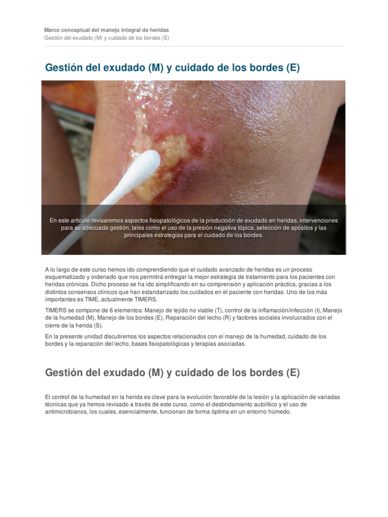 Gestión del Exudado y Cuidado de Bordes | PDF | Herida | Salud y bienestar