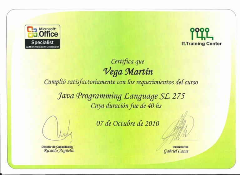 Java Programming Language SL-275-Martin Vega | PDF