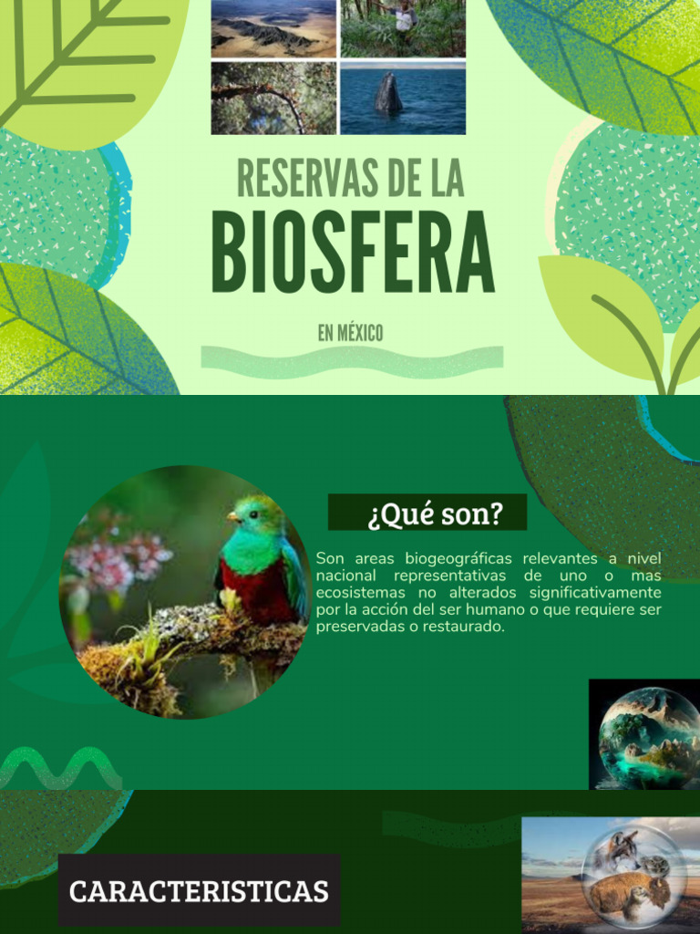 Reservas de La Biosfera | PDF