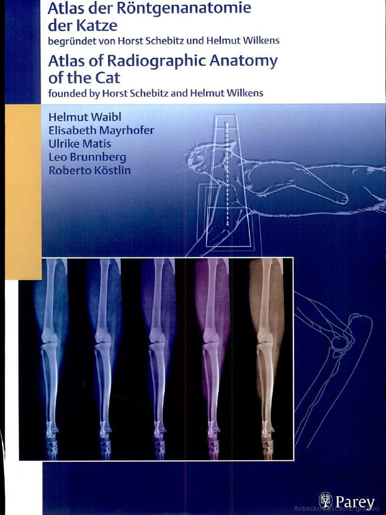 Atlas of Radiographic Anatomy of the Cat | PDF