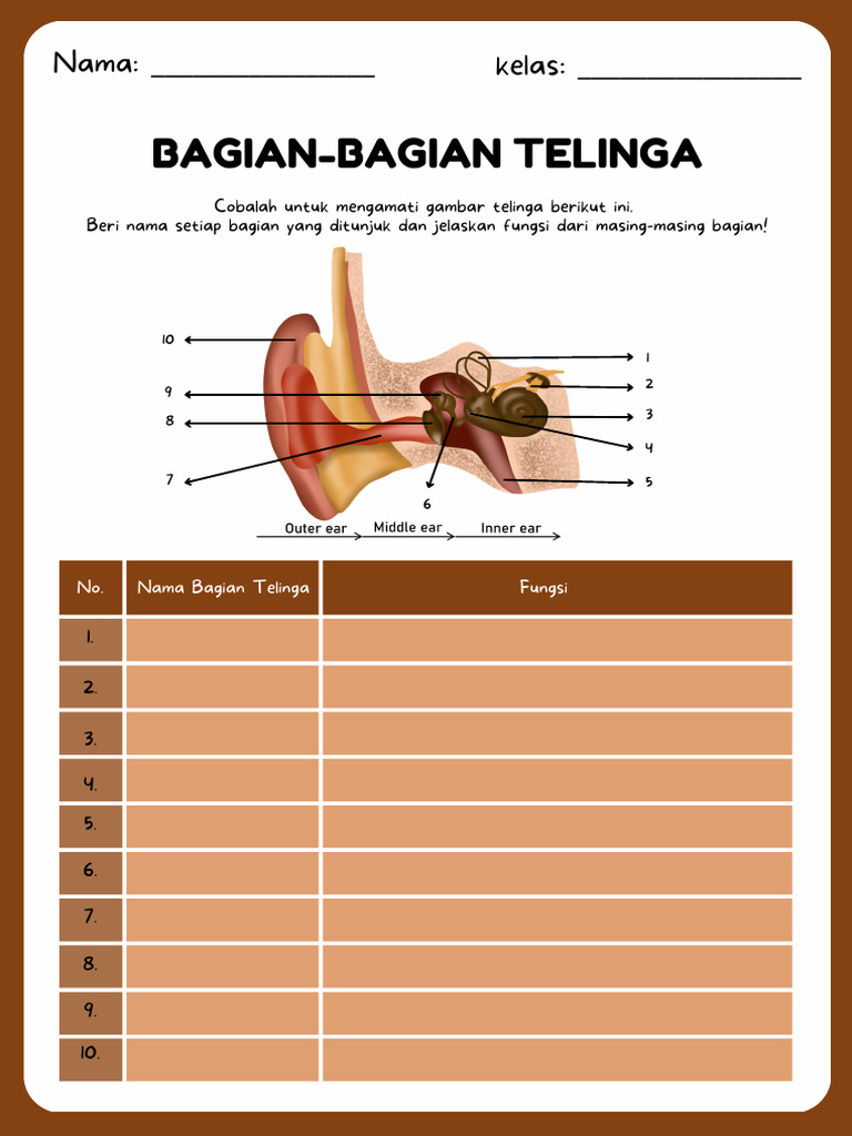 Lembar Kerja IPA Bagian Telinga | PDF