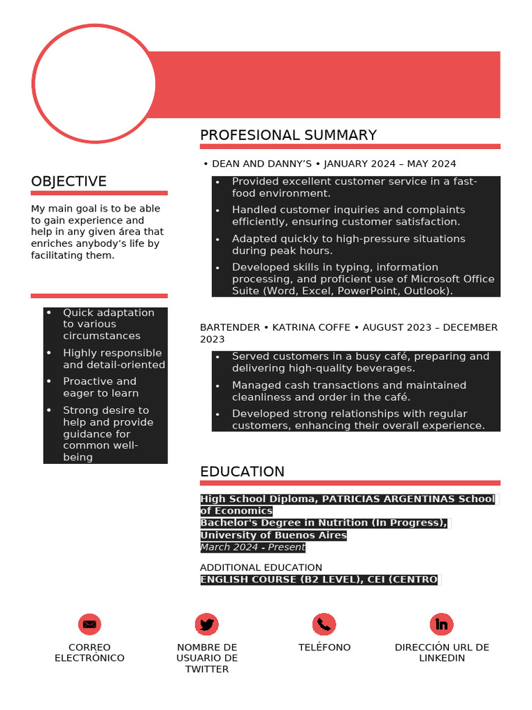 English CV Sketch | PDF