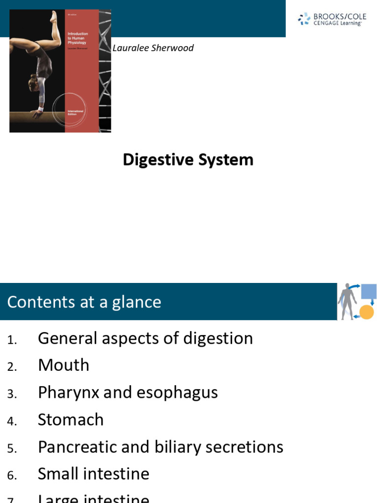 5_The digestive system-anatomy physiology | PDF