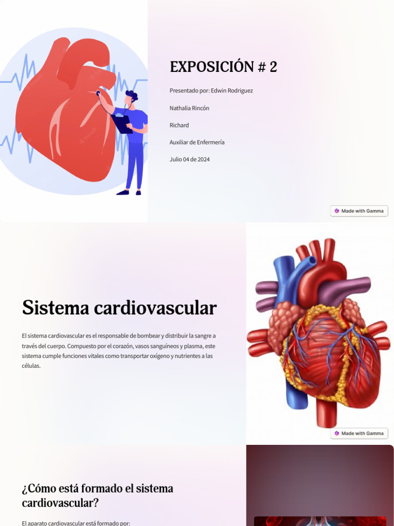 Exposicion-2 Sistema Cardiovascular. | PDF