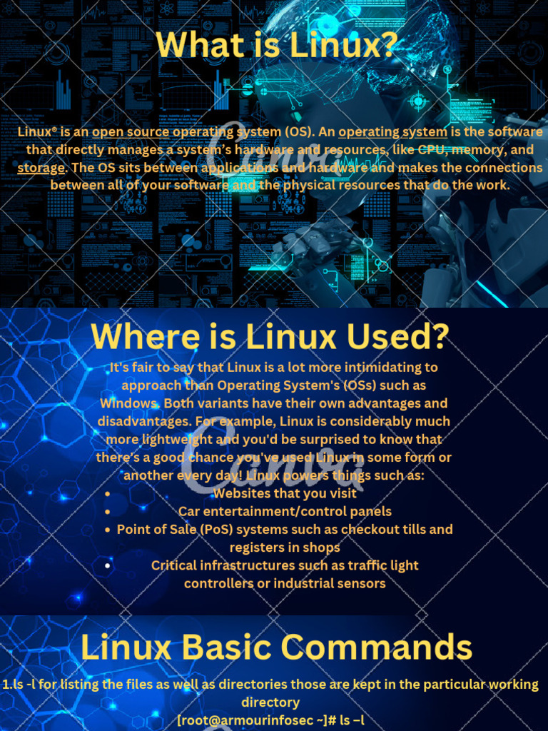 Infosec Session 1 Linux Commands | PDF
