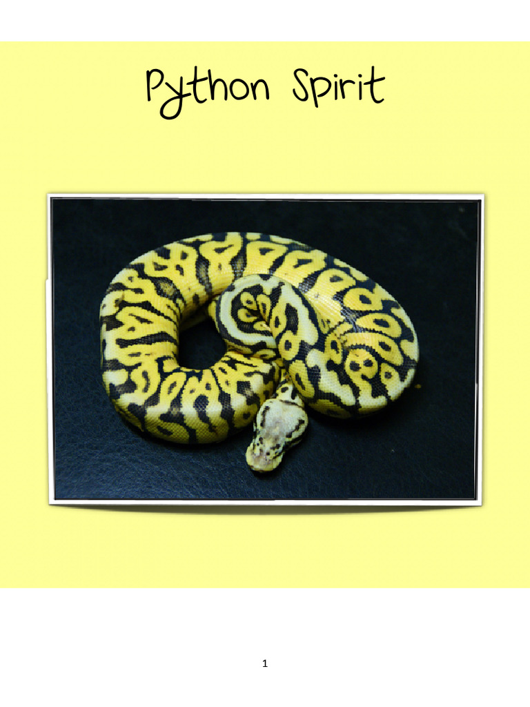Python Spirit | PDF