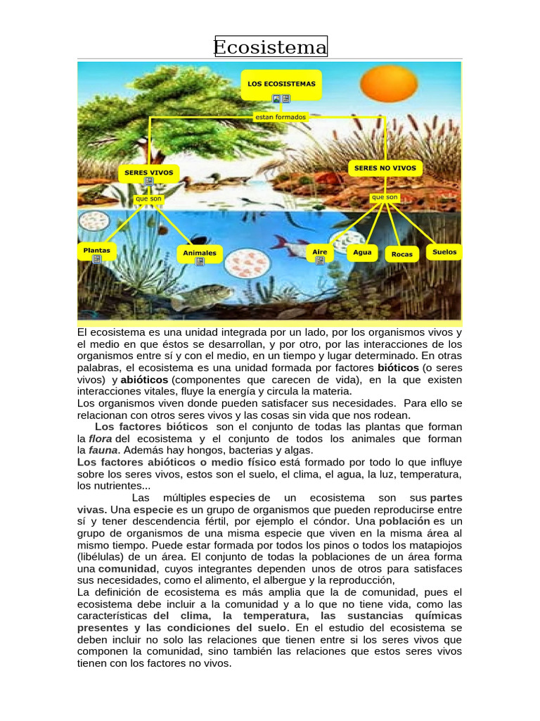 ECOSISTEMA | PDF