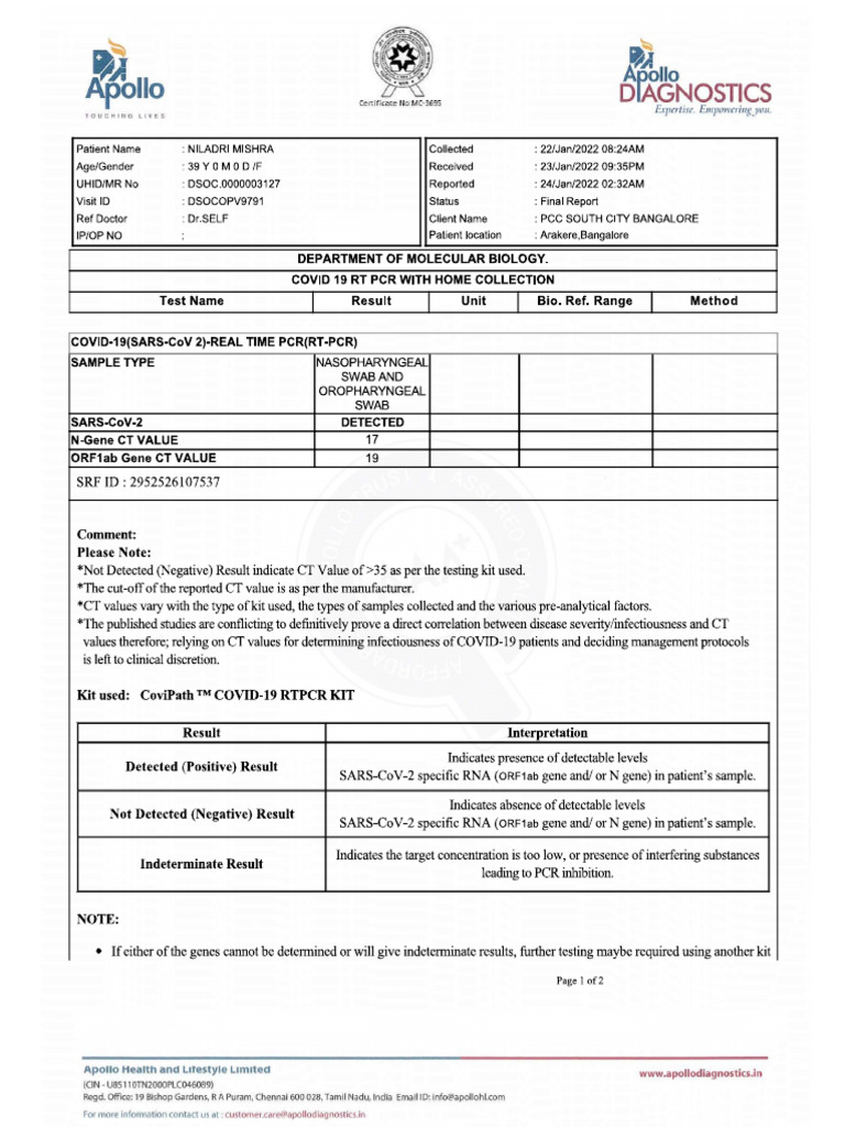 Report | PDF