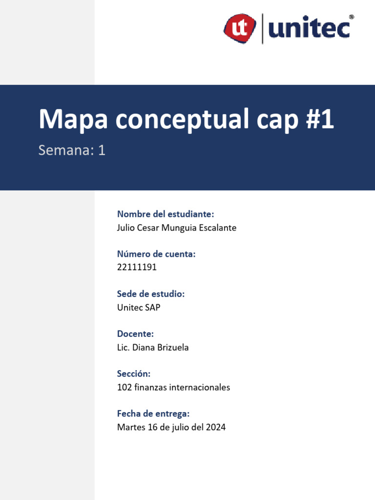 Mapa Conceptual Cap #1 | PDF