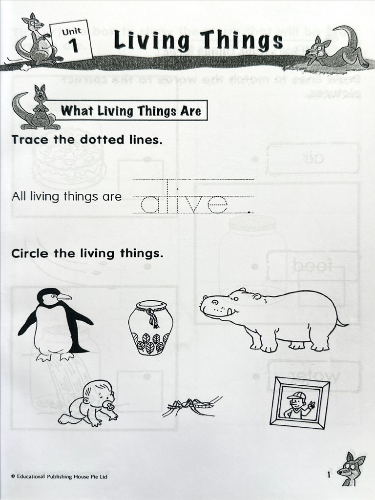 Living Things and Five Senses | PDF