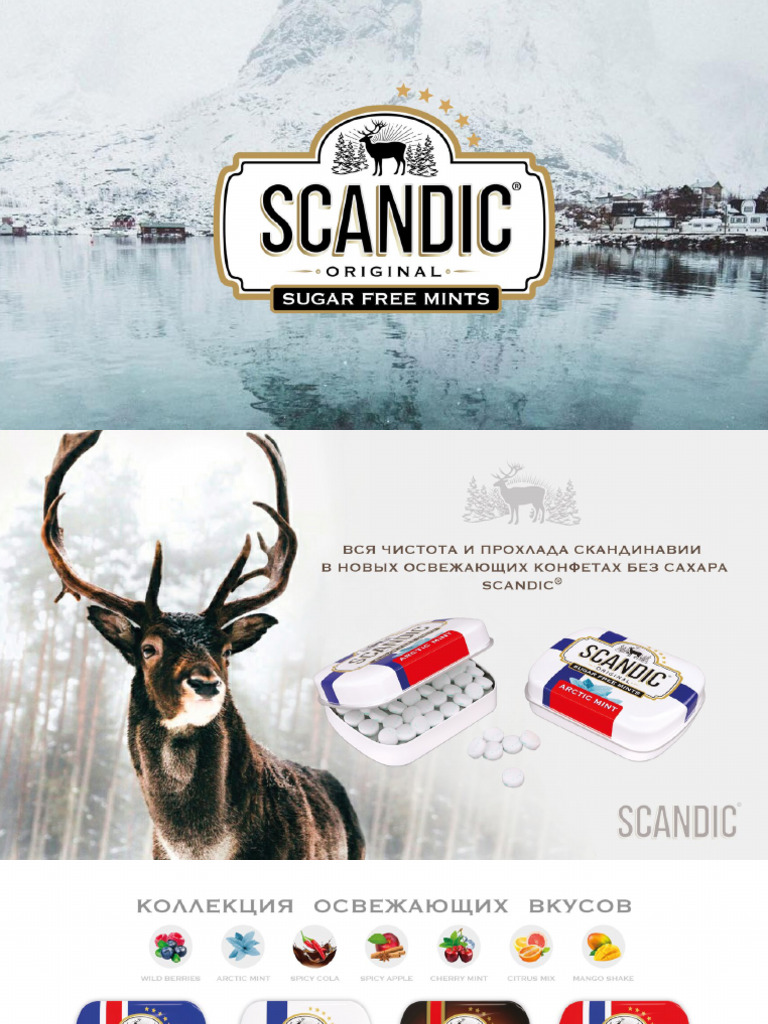 Scandic 2023 | PDF