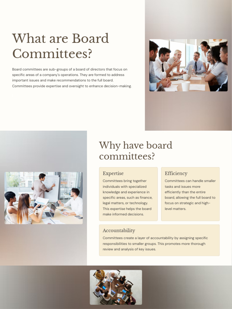 What Are Board Committees | PDF