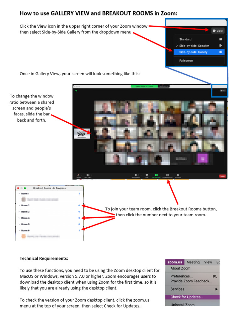 Zoom Gallery View Instructions v3 | PDF
