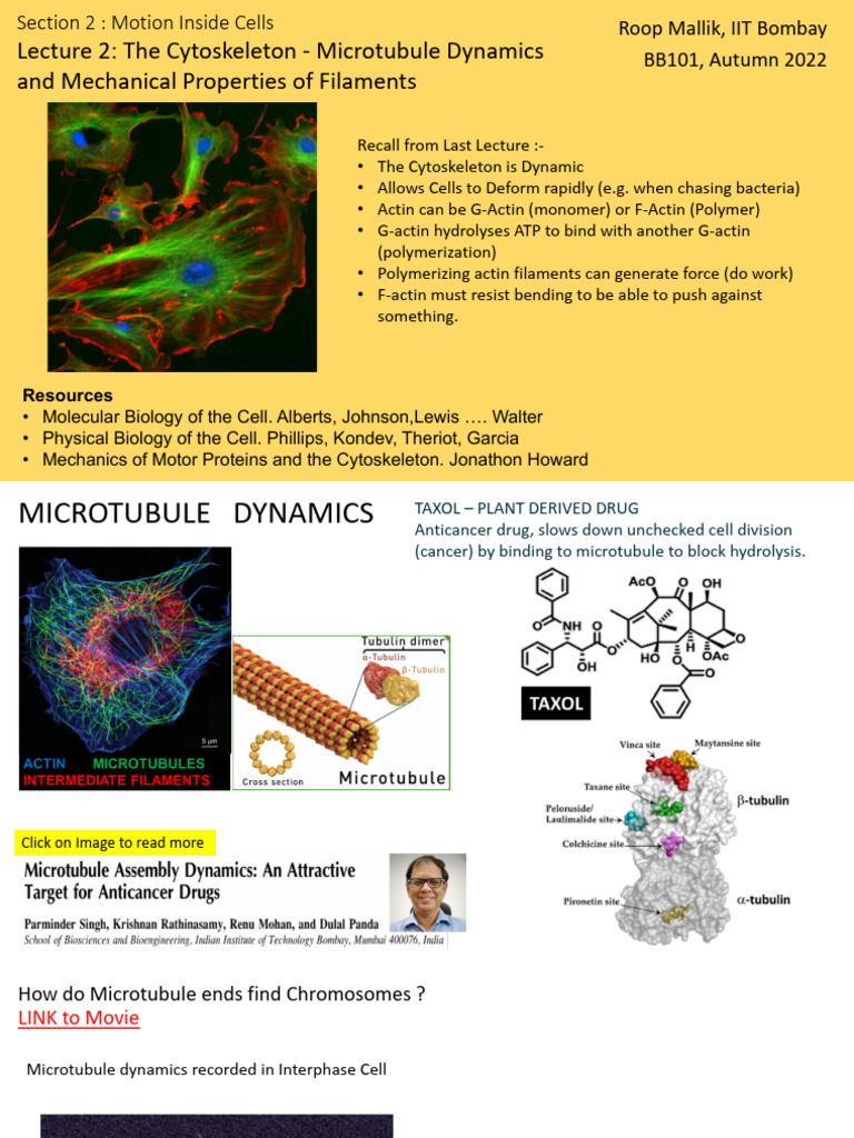 BB101 RM Sec2Lec2 | PDF