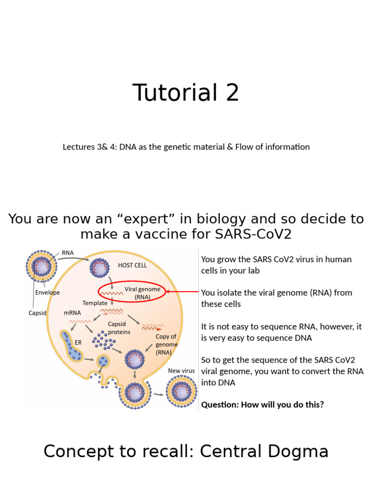 Tutorial 2 | PDF