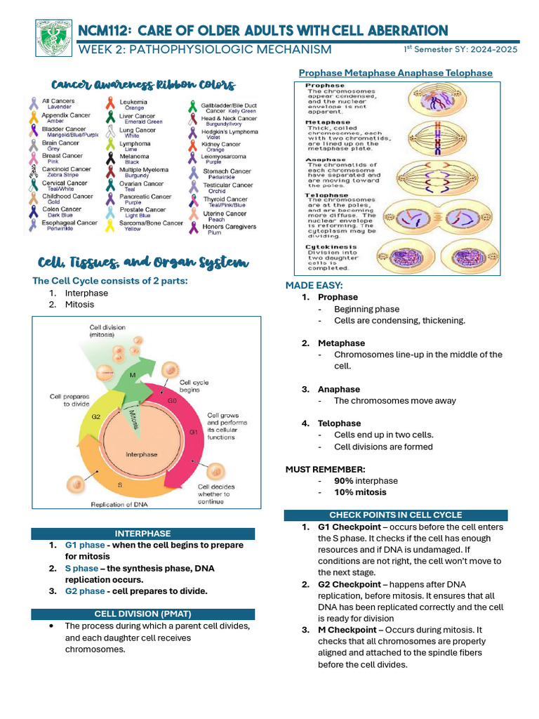 Trans Notes Week 2 | PDF Trans Notes Week 2 | PDF