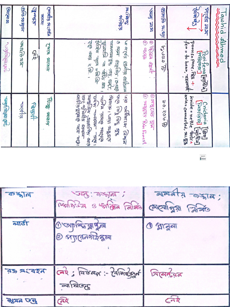 Zoology Assignment 1 | PDF