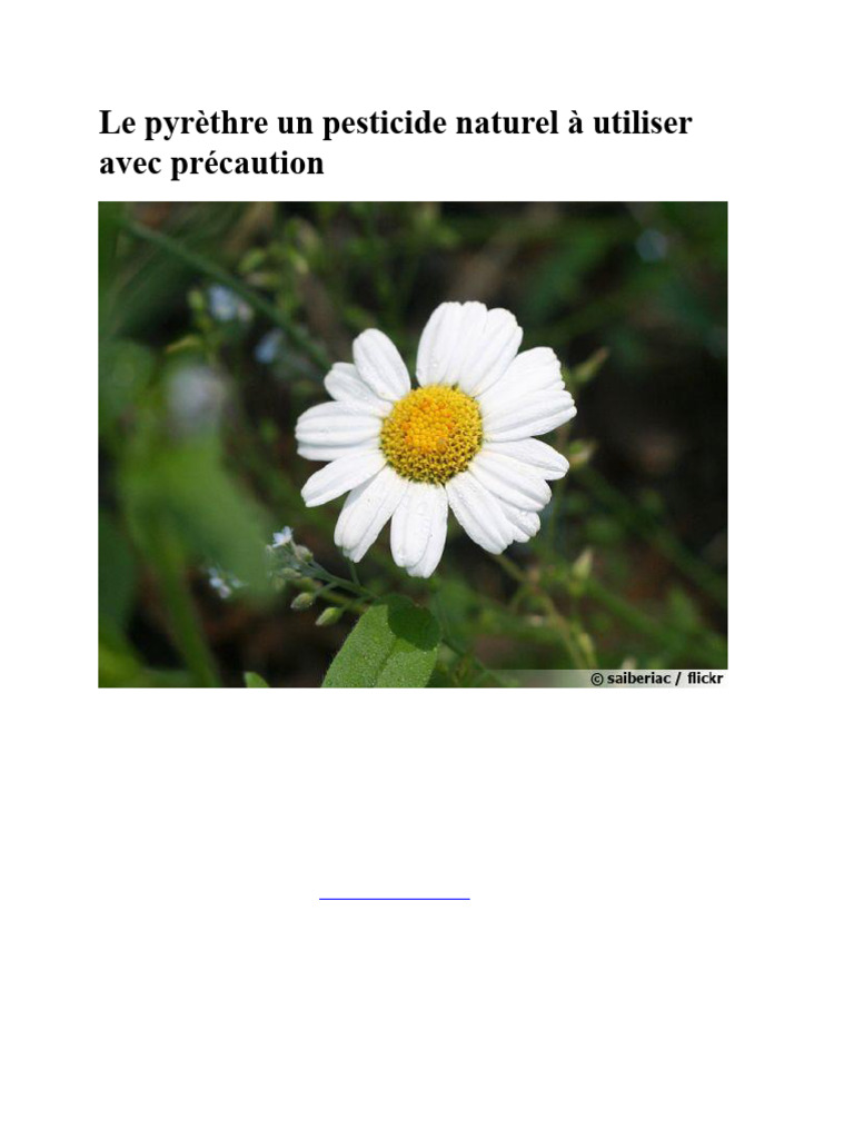Le Pyrèthre Un Pesticide Naturel À Utiliser Avec Précaution | PDF