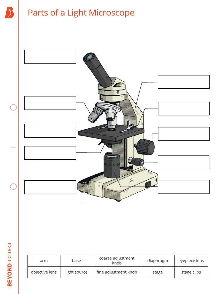 Parts of A Light Microscope A4 | PDF