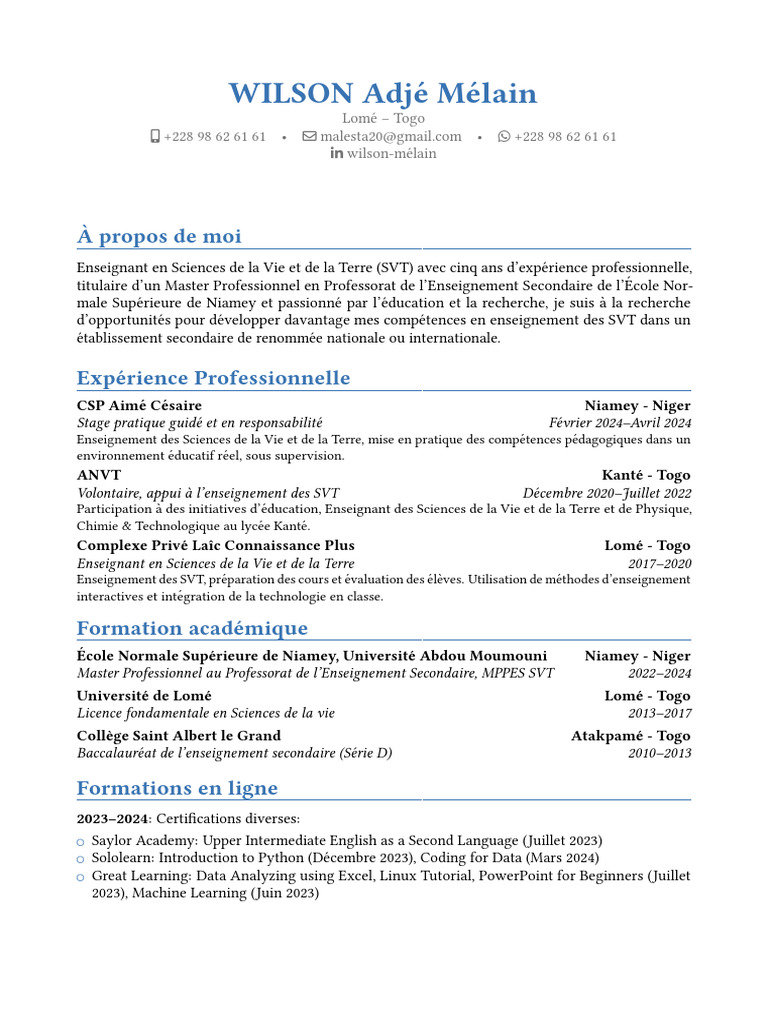 668fb47c1a587 CV Melain Francais | PDF
