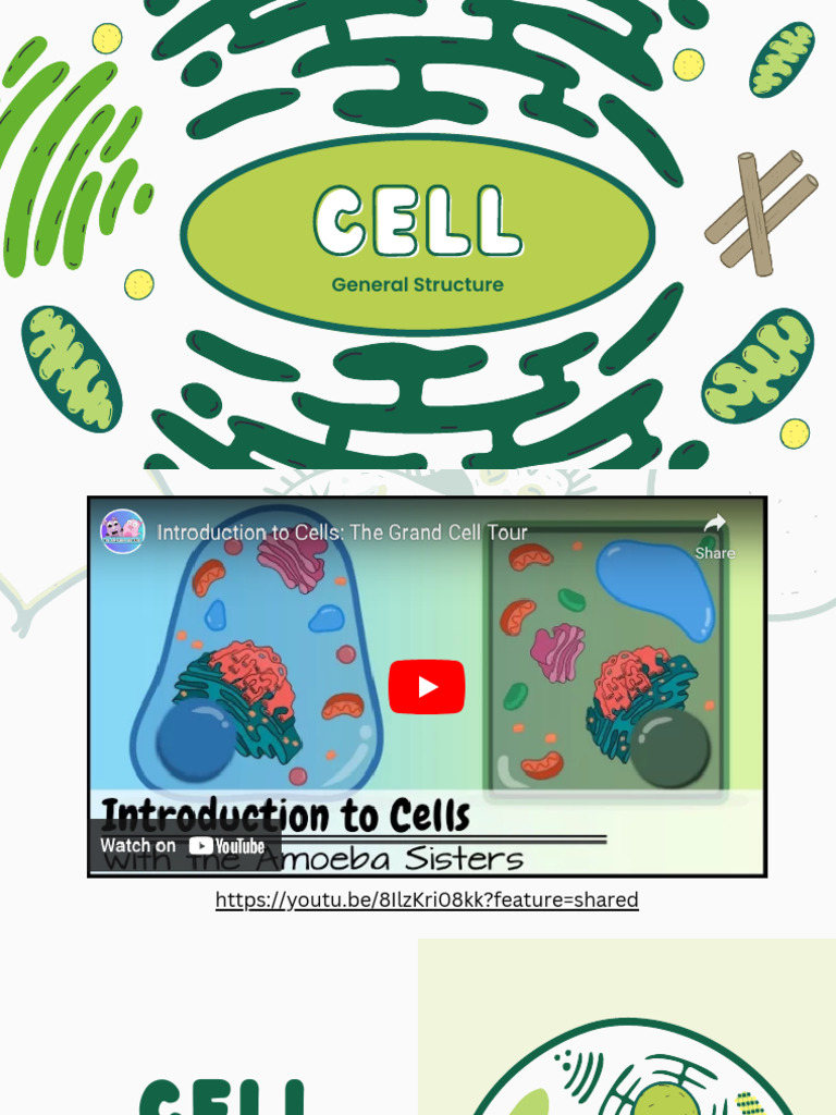 General Structures of Cell | PDF
