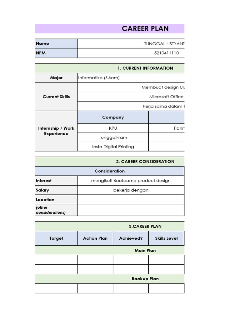 Career Plan Template | PDF