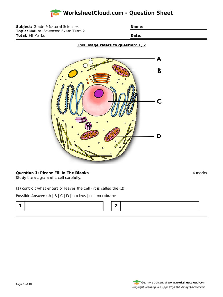G9 Natural Sciences Term 2 Exam | PDF