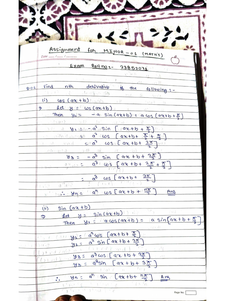 Math's Assignment Pdf | PDF