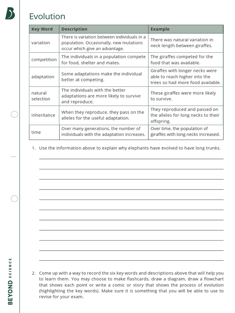 Evolution Worksheet | PDF