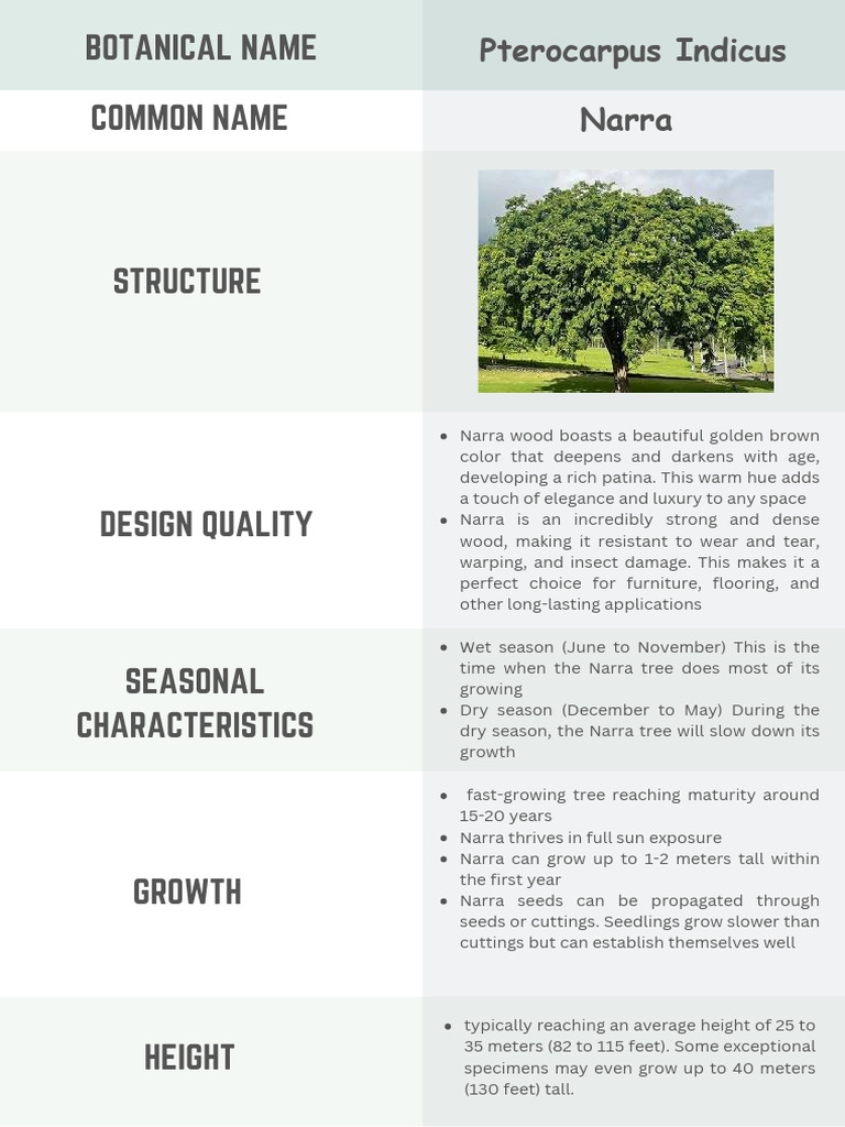 Elements of Design | PDF | Trees | Home & Garden