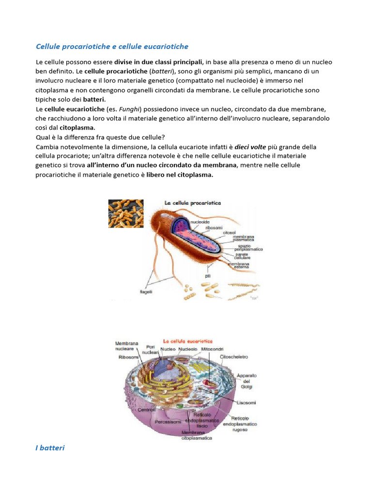 Presentazione Della Cellula | PDF