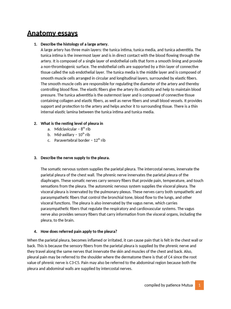 Anatomy Essays | PDF