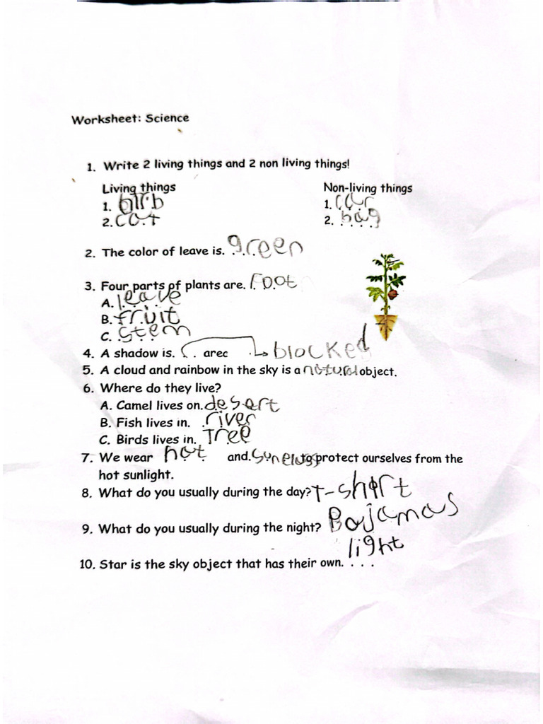 Science Worksheet | PDF