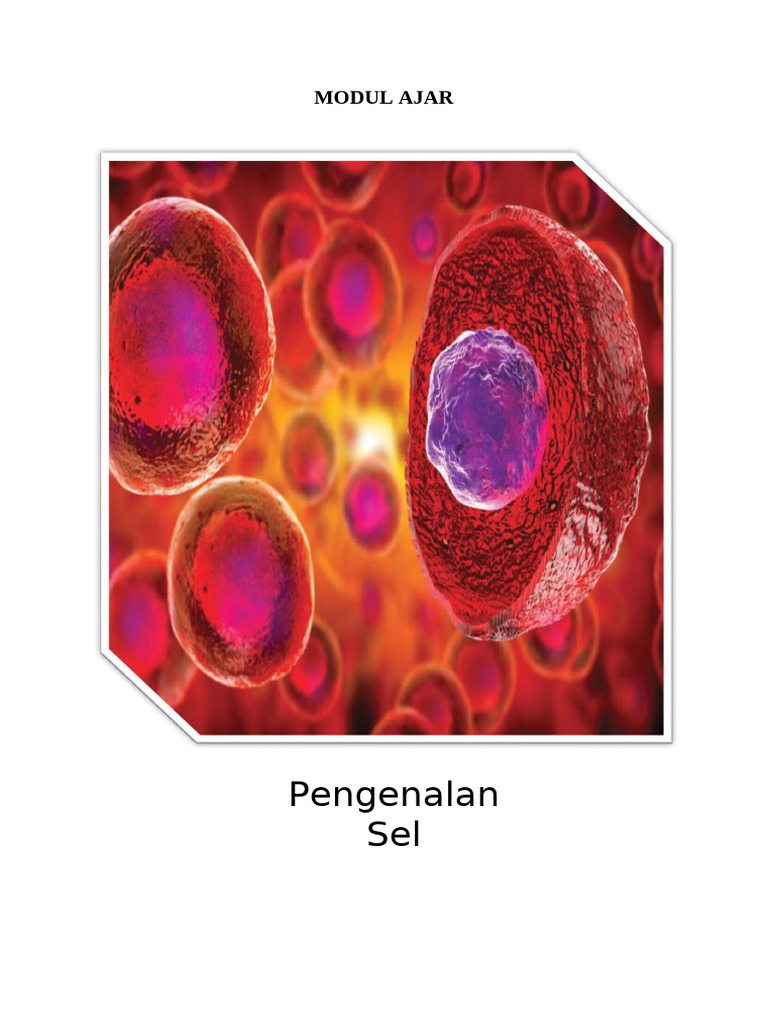 Modul Ajar Bab 1 Pengenalan Sel | PDF