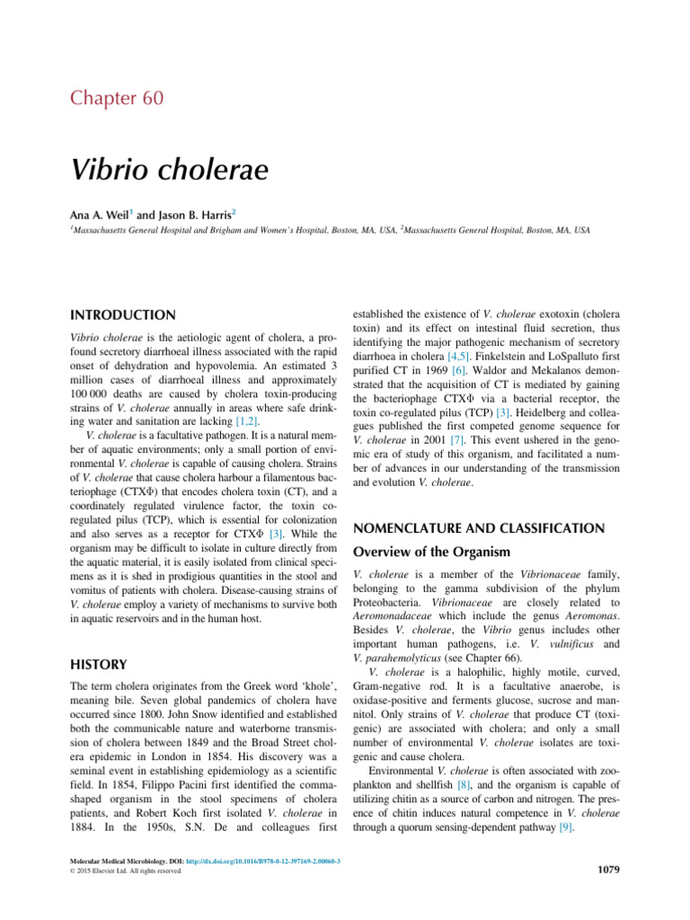 Big Cholera paper | PDF