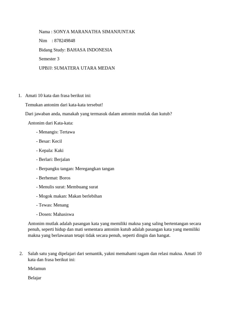 Bahasa Indonesia Sonya | PDF