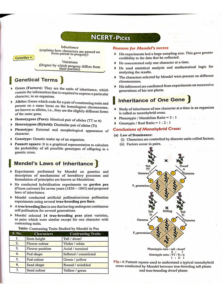 Ch.4 Principle of Inheritance & Variation (Ncert Punch) | PDF
