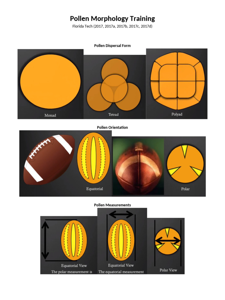 Florida Tech (2017) Pollen Morphology Training | PDF