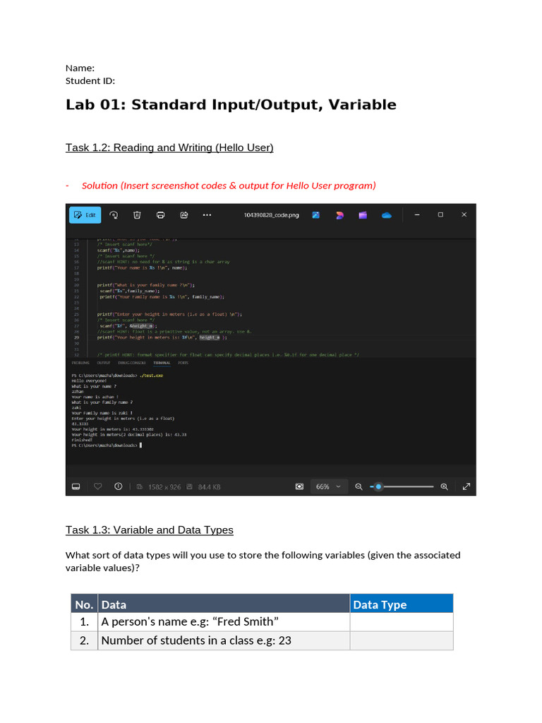 CSS101 Lab01 Template | PDF