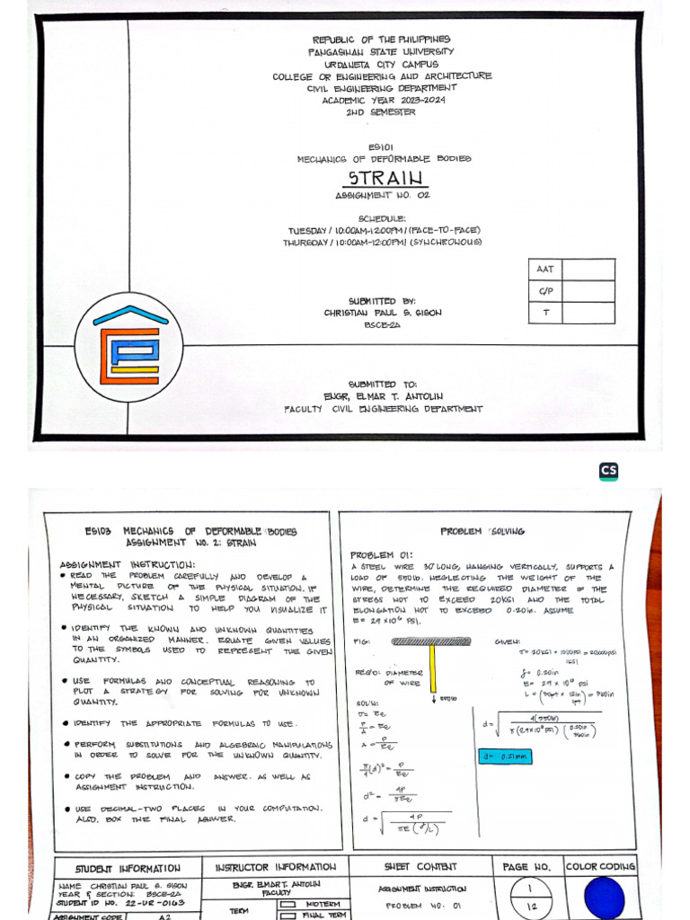 ES103 SisonCP Activity2 Strain | PDF