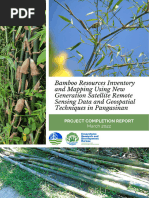 Buri Fiber - Nature and Uses | PDF | Textiles | Trees