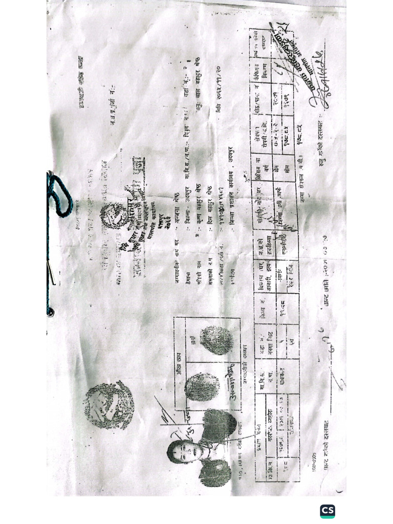 Dapcha | PDF