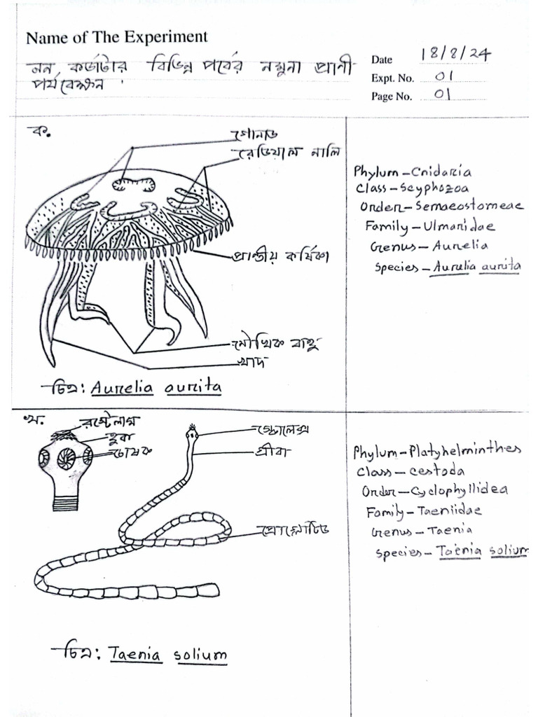 Biology Practical 1 1 | PDF
