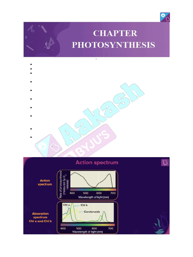 1 Let's Revise! Photosynthesis in Higher Plants | PDF | Photosynthesis ...